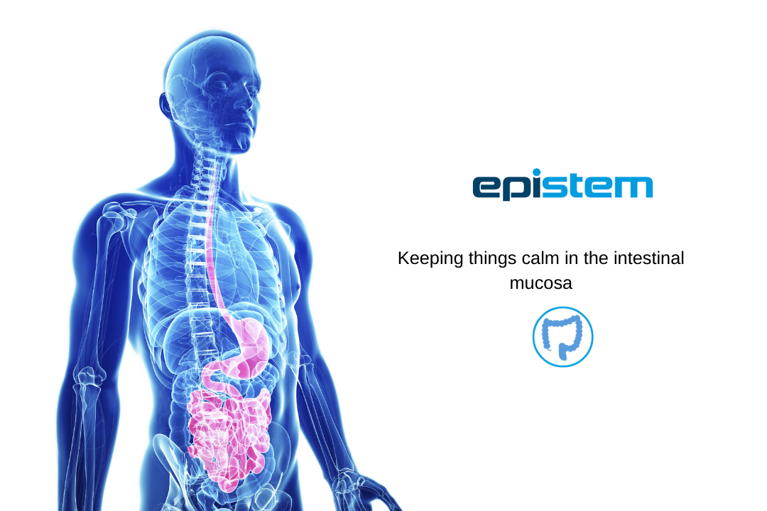 Keeping things calm in the intestinal mucosa. - epistem